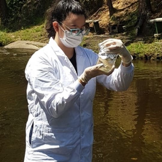 PERÍCIA AGRÍCOLA E AMBIENTAL PLANOS – IBRAPAA – Instituto Brasileiro de ...