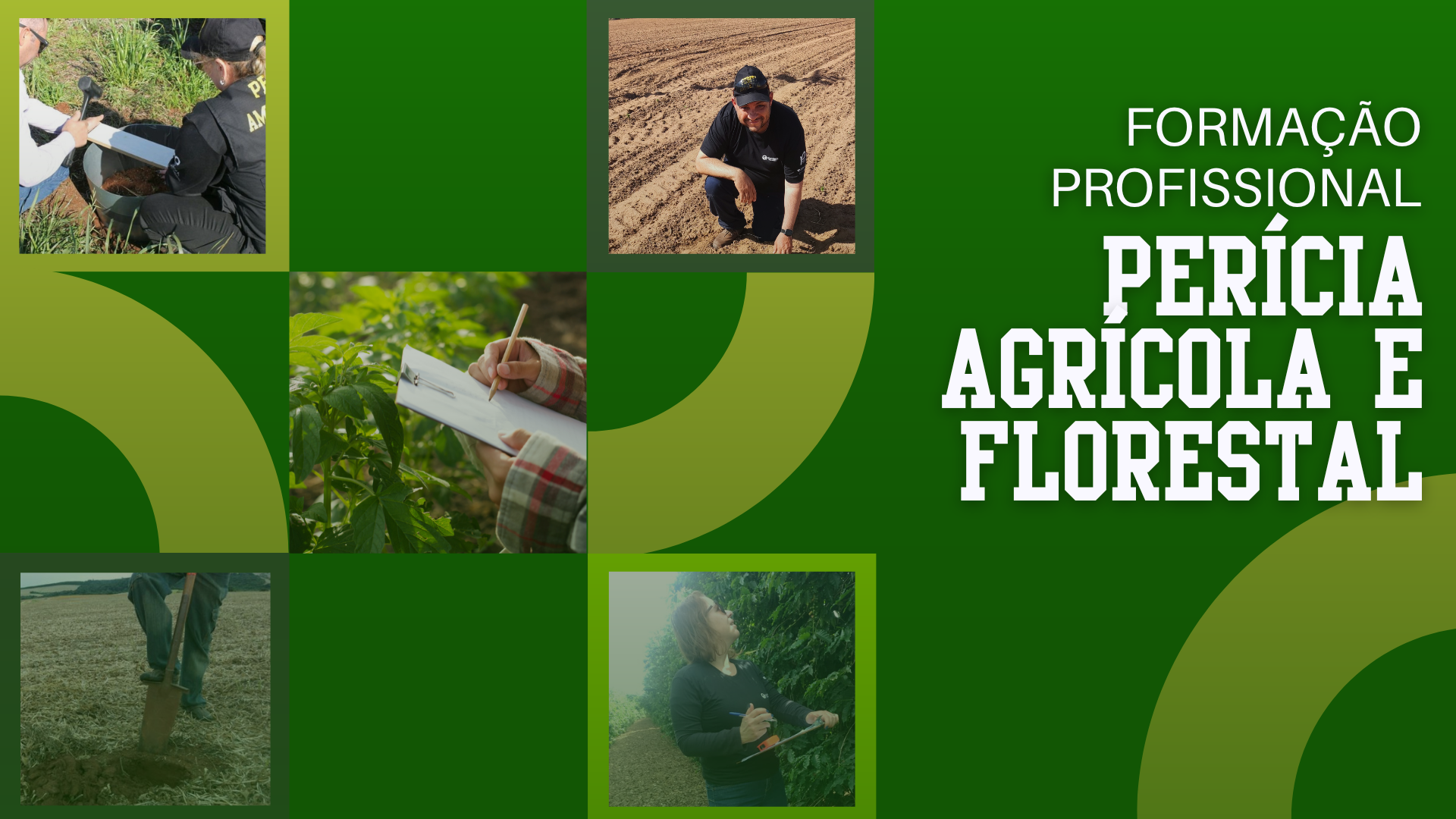 PERÍCIA AGRÍCOLA E AMBIENTAL – IBRAPAA – Instituto Brasileiro de ...